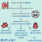 Finerenone – Endocrinoluigi