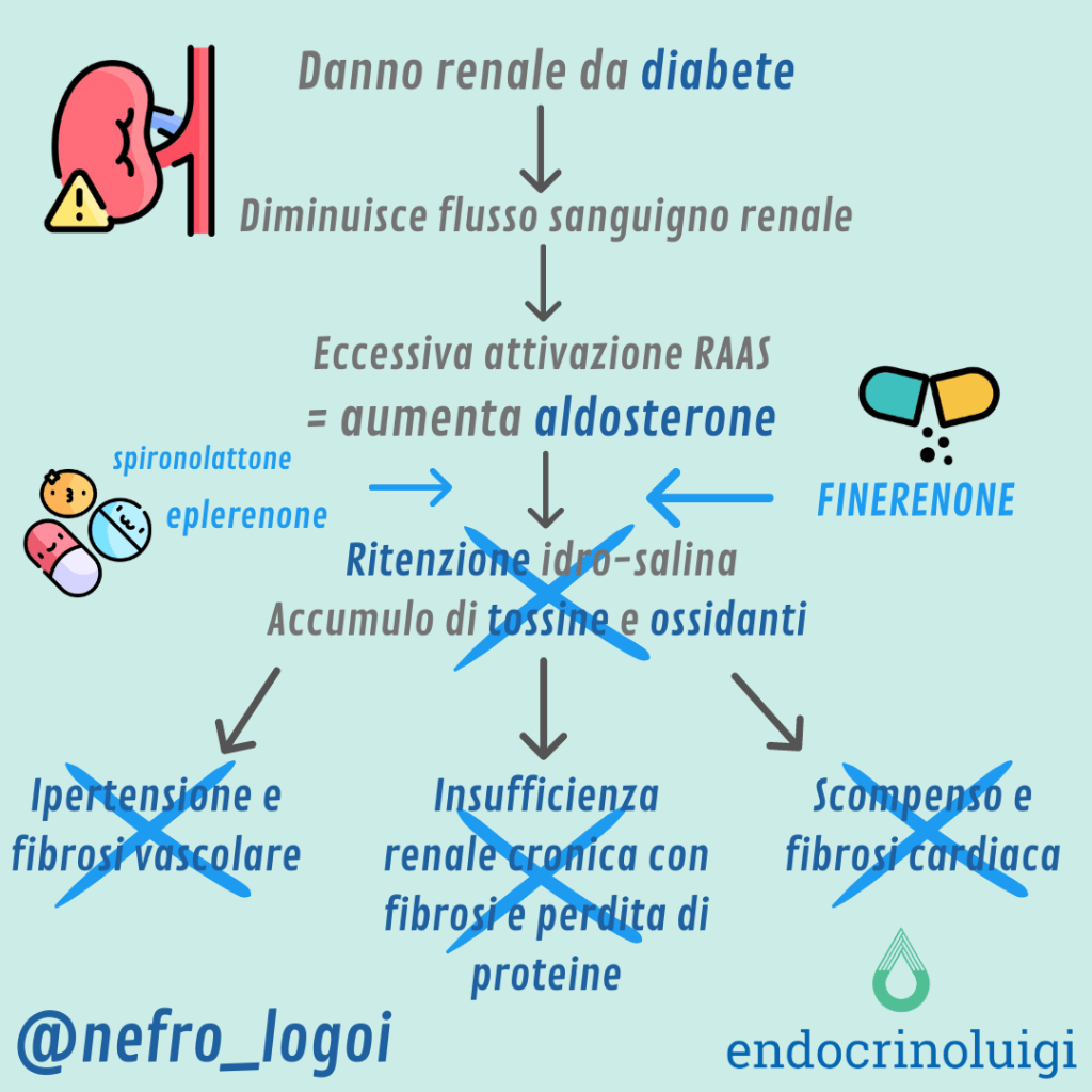 Finerenone – Endocrinoluigi